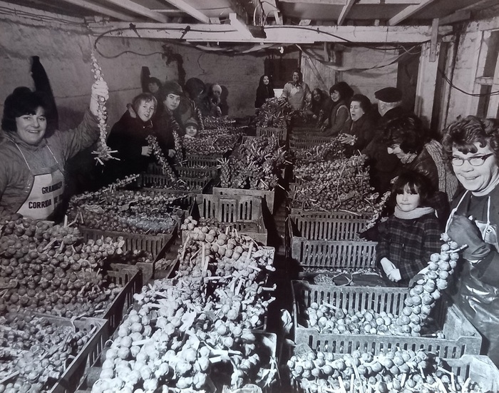 Sprouts :: Flordonhistory