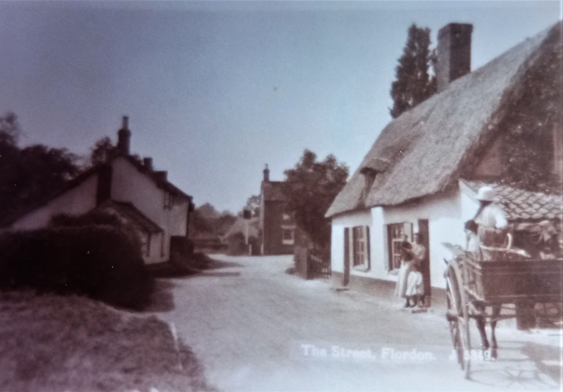 HOUSES :: Flordonhistory